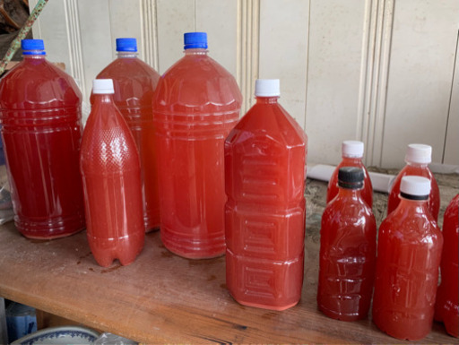 PSB バクテリア 4L メダカ (南国メダカ) 神田（交通局前）のその他の中古あげます・譲ります｜ジモティーで不用品の処分