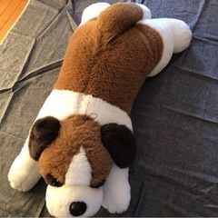 セントバーナードの中古が安い!激安で譲ります・無料であげます セントバーナードの中古が安い!激安で譲ります・無料であげます