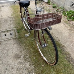 愛媛県のカジュナの中古が安い!激安で譲ります・無料であげます 愛媛県のカジュナの中古が安い!激安で譲ります・無料であげます