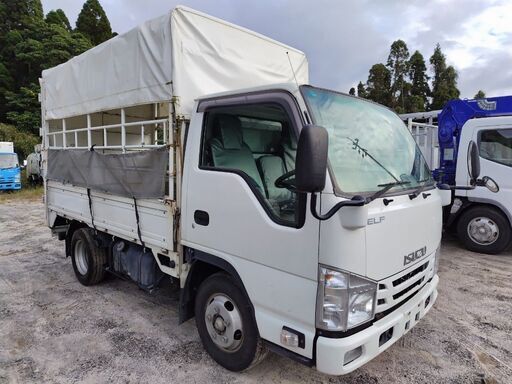 鹿児島発★いすゞ エルフ 家畜運搬車 TRG-NJR85A H29年式 車検付き渡し！ (ryuta) 国分のその他の中古車｜ジモティー
