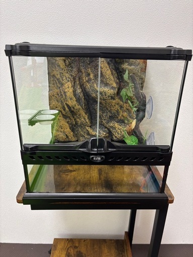 エキゾテラ GEX EXOTERRA グラステラリウム 3030 爬虫類 ケージ (saa) てだこ浦西のその他の中古あげます・譲ります｜ジモティーで不用品の処分