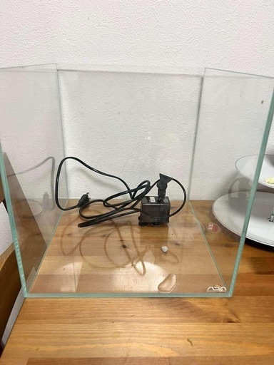 ADA水槽/Eheimフィルム/ヒーター等 (アキ) 相模原のその他の中古あげます・譲ります｜ジモティーで不用品の処分