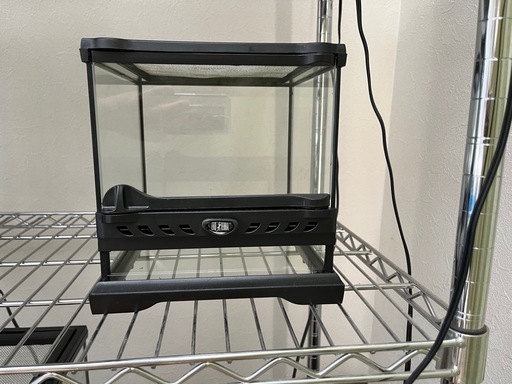 GEX EXOTERRA グラステラリウム ナノキューブ PT2599 フロントドア 爬虫類飼育ケージ (みみみ) 帯広のその他の中古あげます・譲ります｜ジモティーで不用品の処分