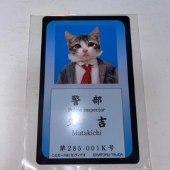 なめ猫の中古が安い!激安で譲ります・無料であげます|ジモティー なめ猫の中古が安い!激安で譲ります・無料であげます|ジモティー