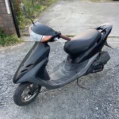 ライブディオZX仕様!! (あばれるちゃん) 新古河のホンダの中古 ライブディオZX仕様!! (あばれるちゃん) 新古河のホンダの中古
