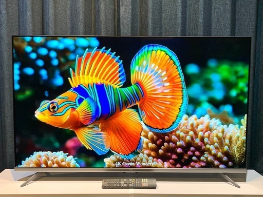 2021年製 50V型 TCL 4K Android TV 液晶テレビ YouTube Netflix 2021年製 50V型 TCL 4K Android TV 液晶テレビ YouTube Netflix