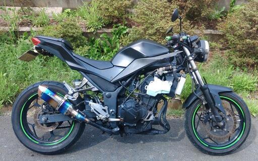 ニンジャ250EX250Lネイキッド仕様(No.2336) (へちま) 狭山市のカワサキの中古あげます・譲ります｜ジモティーで不用品の処分