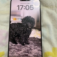 iPhone15promax 256gb ホワイトチタニウム (タッチ~) 徳庵の iPhone15promax 256gb ホワイトチタニウム (タッチ~) 徳庵の