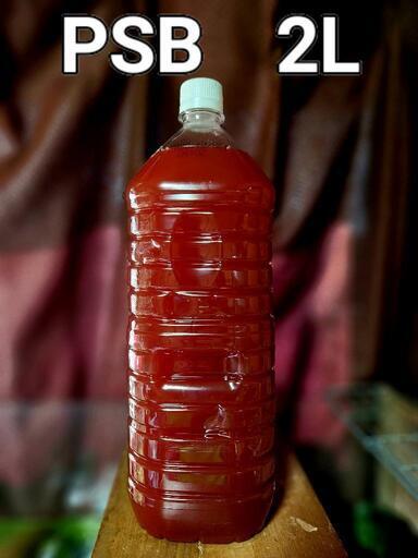 No.17【2L】光合成細菌PSBかなり良い出来上がりです自信有りますよ自家栽培してますから安く出品しました (ワインレッド ) 吉野ケ里公園のその他の中古あげます・譲ります｜ジモティーで不用品の処分