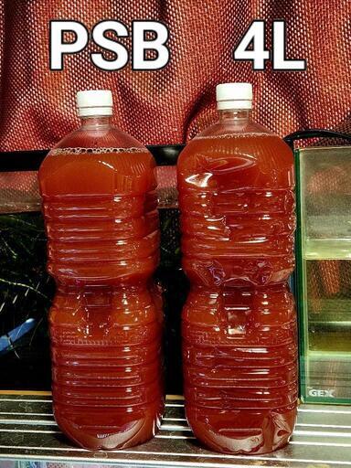 No.18【4L】光合成細菌PSBメダカの水槽に、どうぞ (ワインレッド ) 吉野ケ里公園のその他の中古あげます・譲ります｜ジモティーで不用品の処分