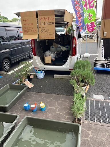 ※最終出店？【告知】2025/7/6 フリーマーケット出店します＠フレスポ稲毛 (やぎん) 千葉のフリーマーケットのイベント参加者募集・無料 ...